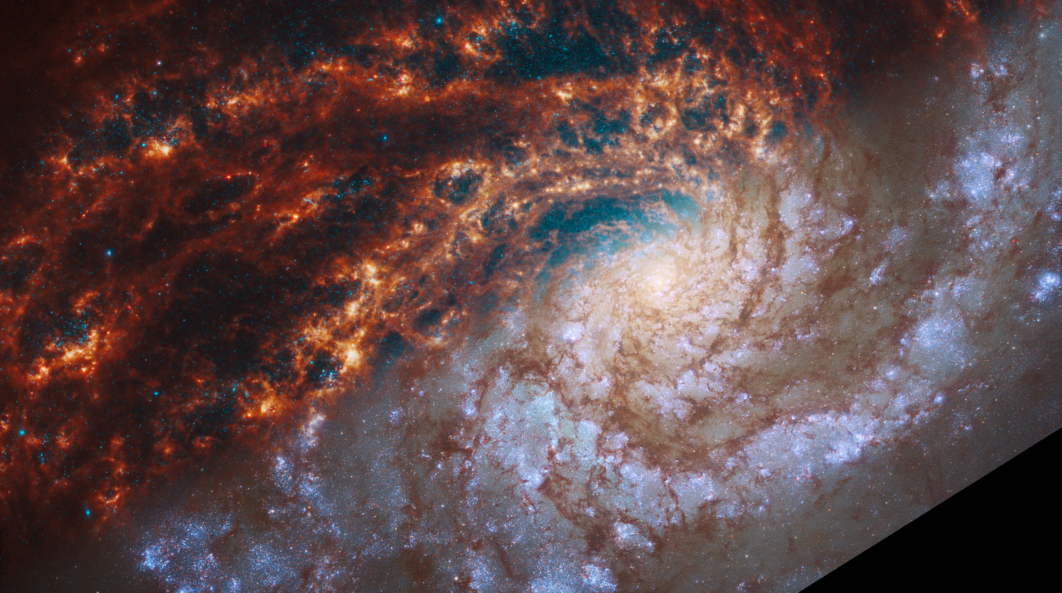 Webb and Hubble's Views of Spiral Galaxy NGC 4254 - NASA Science